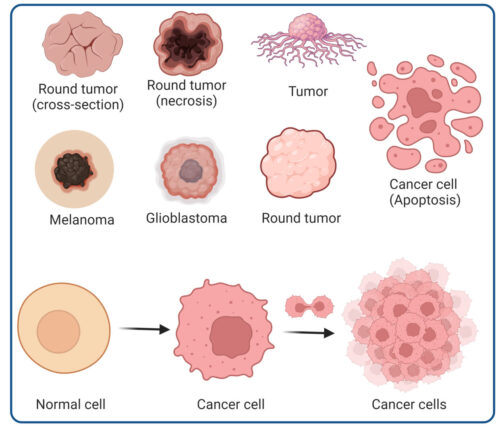 What is Cancer? and Six essential changes at cell level due to Cancer ...