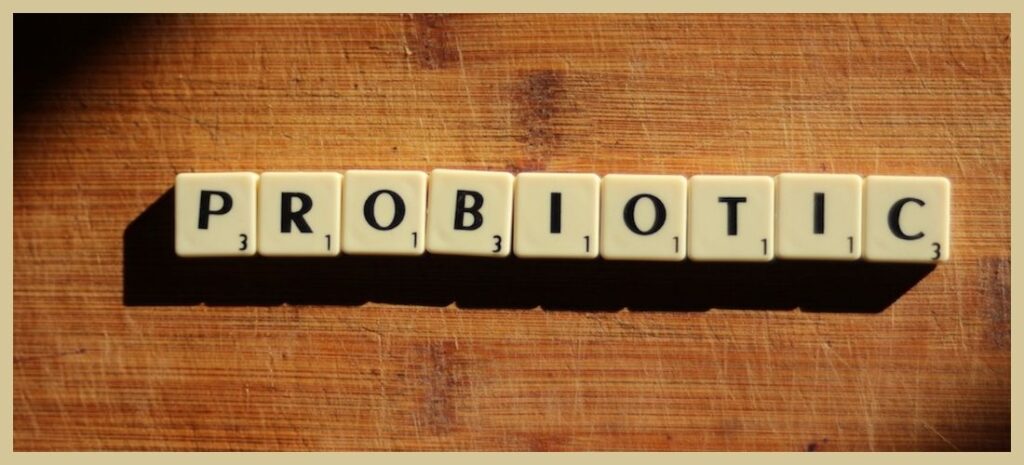 Probiotics 101: What They Are and Why They Matter – SCIENCE HELIX
